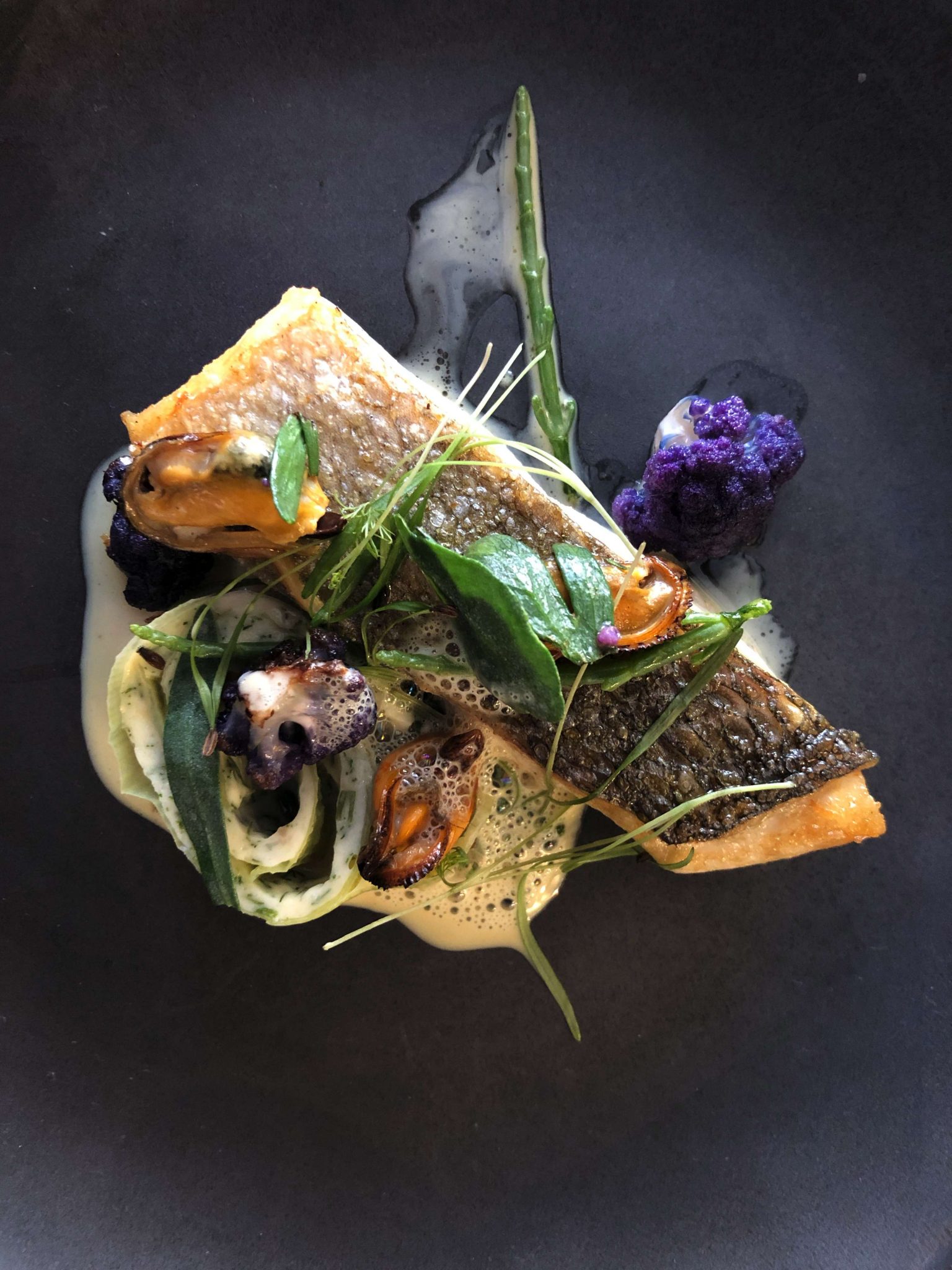 Welcome to Salty Plums, a food blog